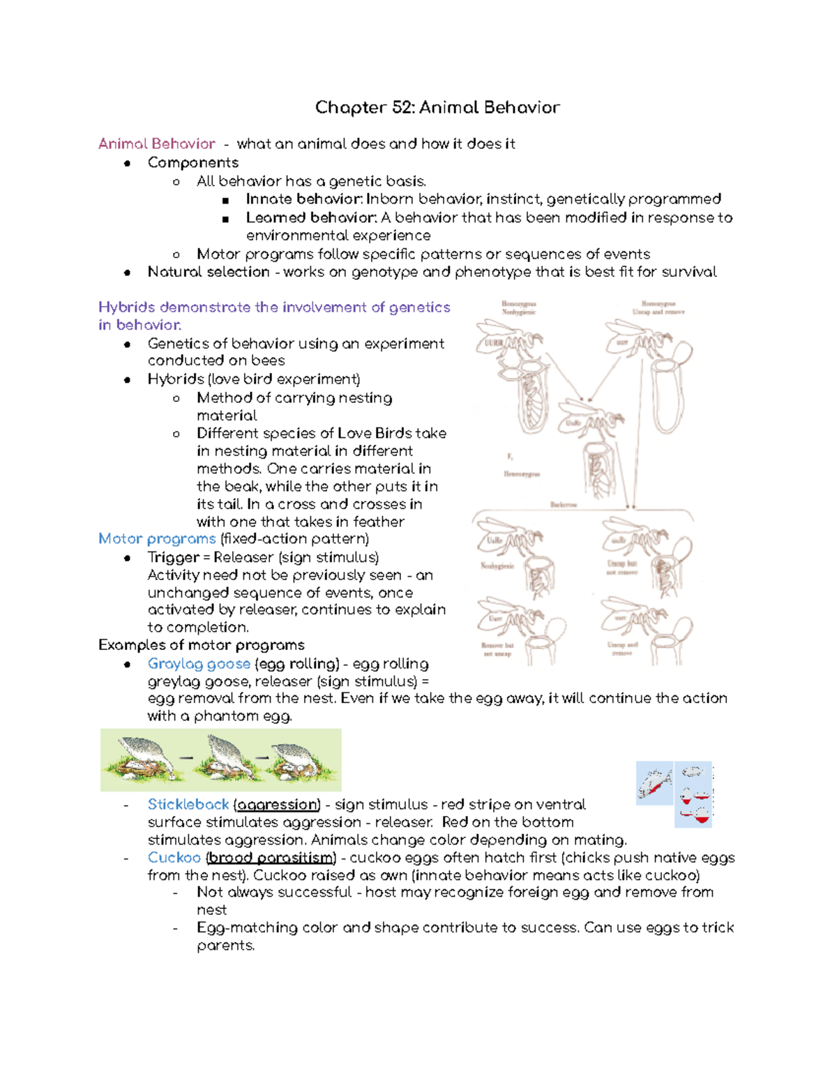 BIOL-K103 Unit 1 Notes Study Guide All Material - Chapter 52: Animal ...