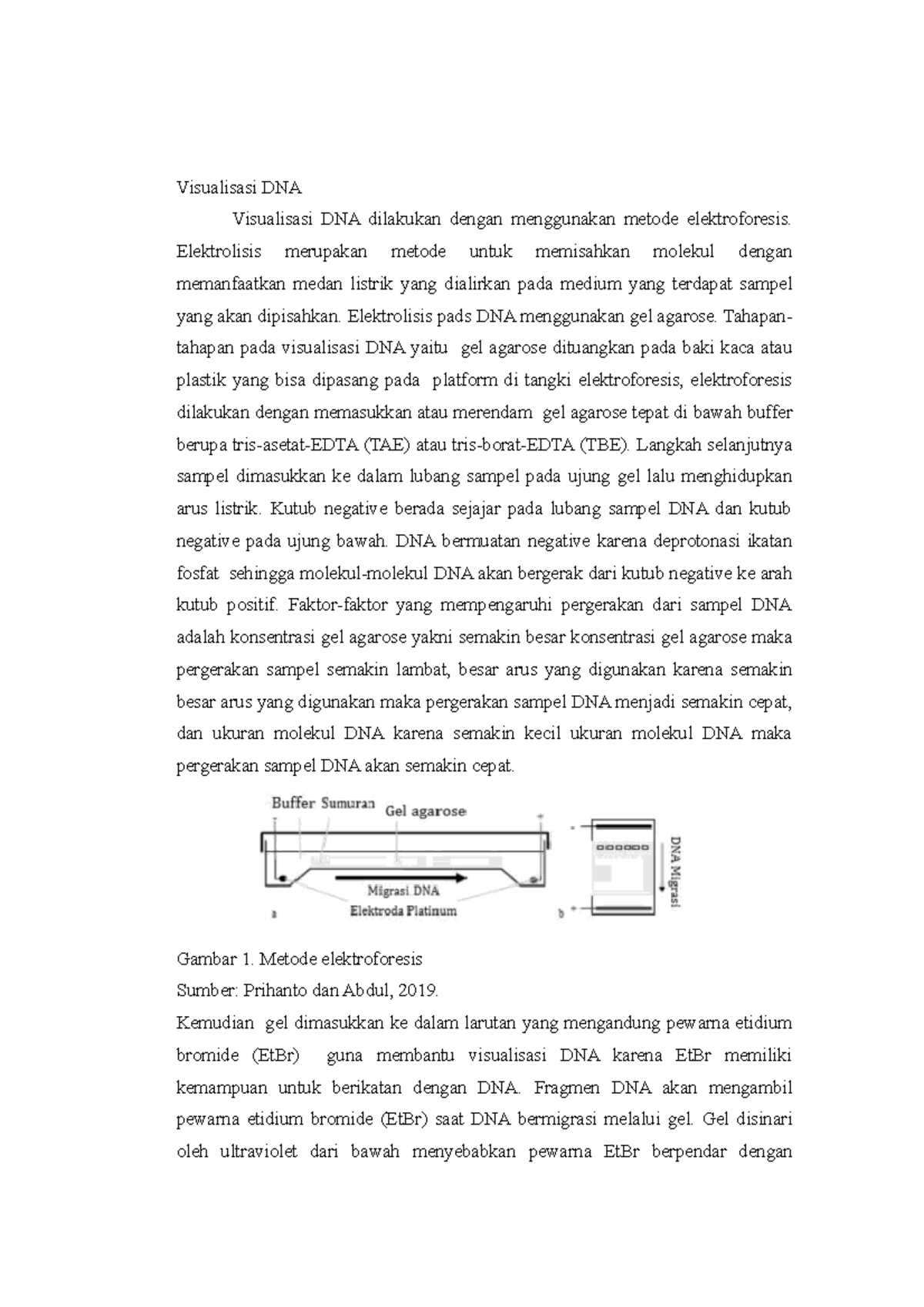 Visualisasi DNA bismillahhhh - Visualisasi DNA Visualisasi DNA ...