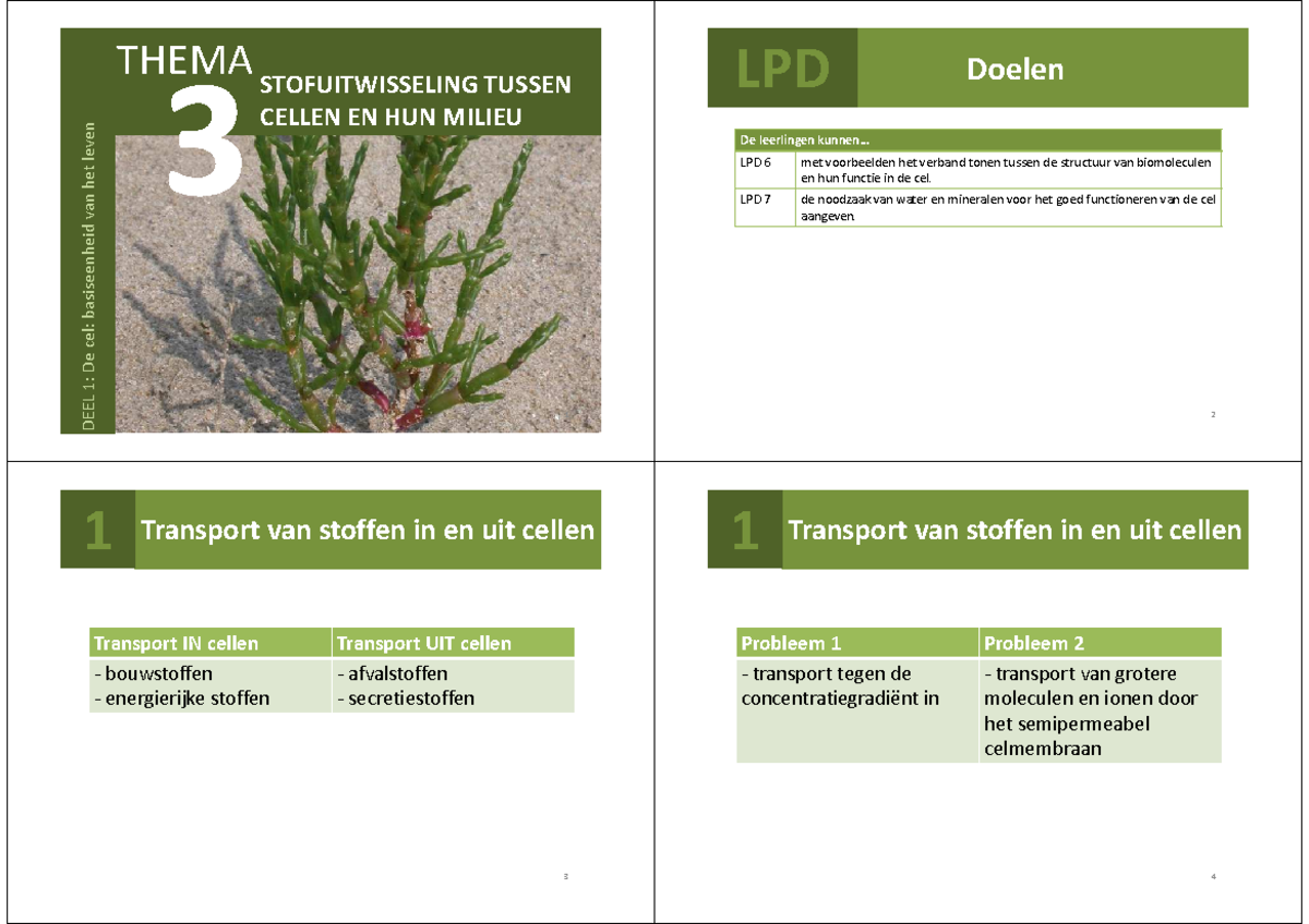 Onderzoek van een biotoop - THEMA STOFUITWISSELING TUSSEN CELLEN EN HUN ...