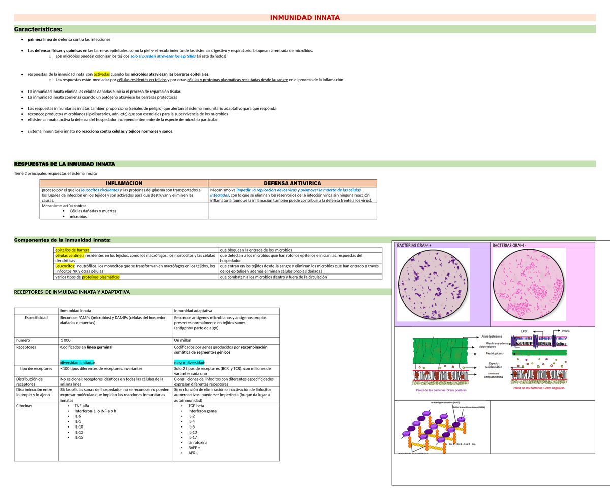 3 Inmuidad Innata - INMUNIDAD INNATA Características: • primera línea ...
