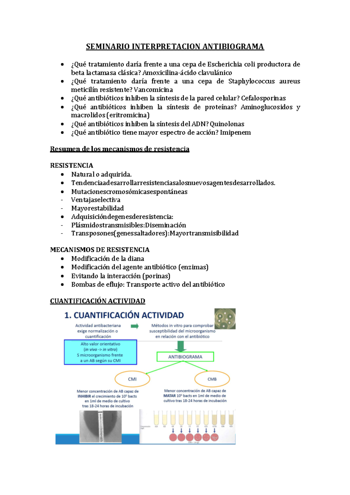 TEMA 6 - Warning: TT: undefined function: 32 SEMINARIO INTERPRETACION ANTIBIOGRAMA ¿Qué ...