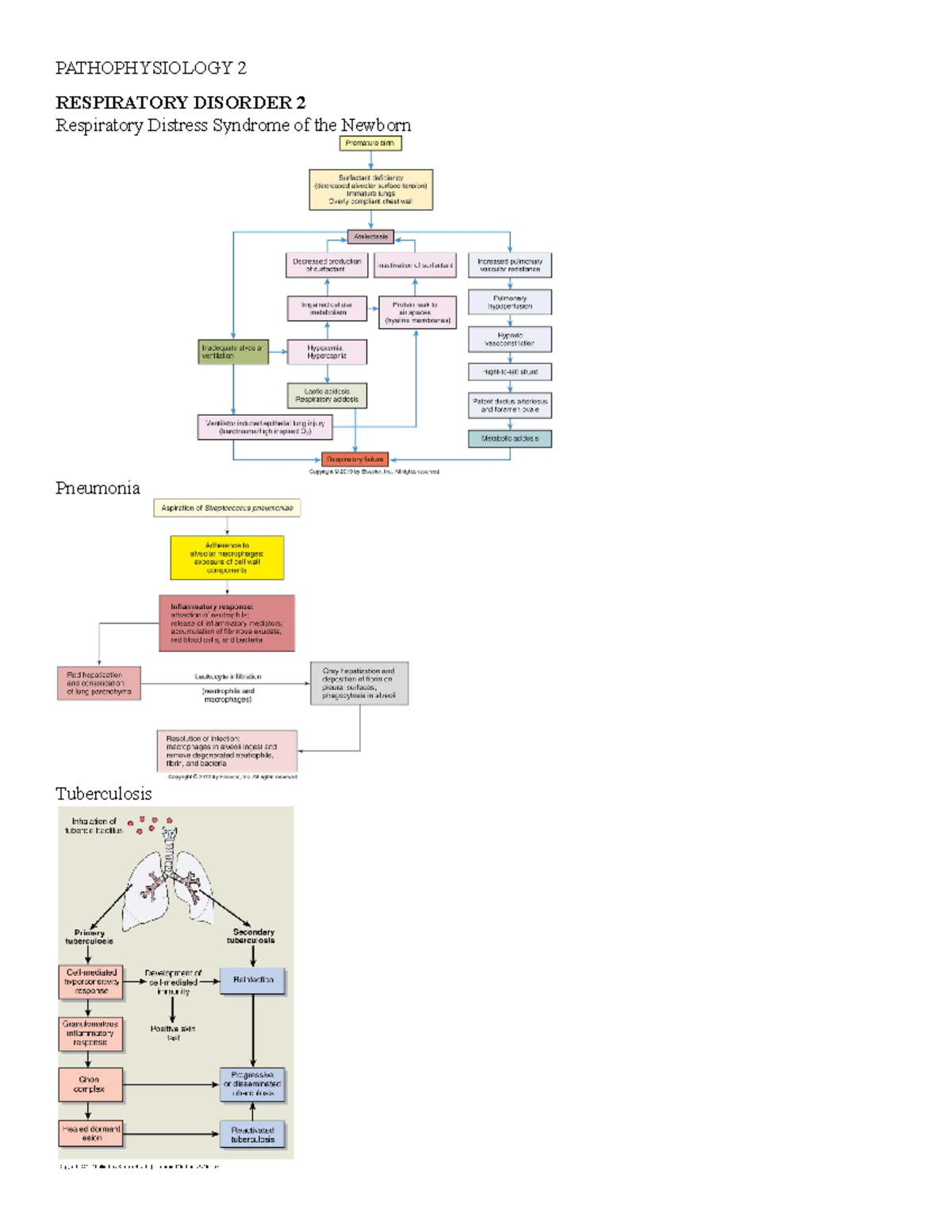 Pathophysiology 2 - PATHOPHYSIOLOGY 2 RESPIRATORY DISORDER 2 ...