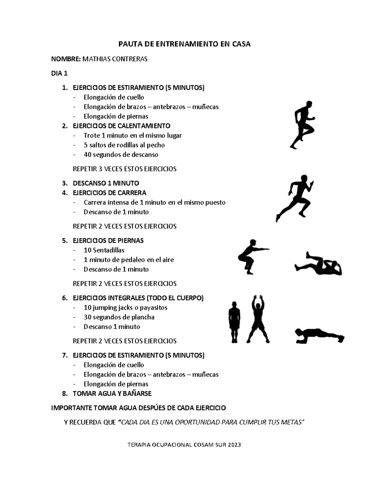 Pauta DE Entrenamiento EN CASA - TERAPIA OCUPACIONAL COSAM SUR 2023 PAUTA DE ENTRENAMIENTO EN ...