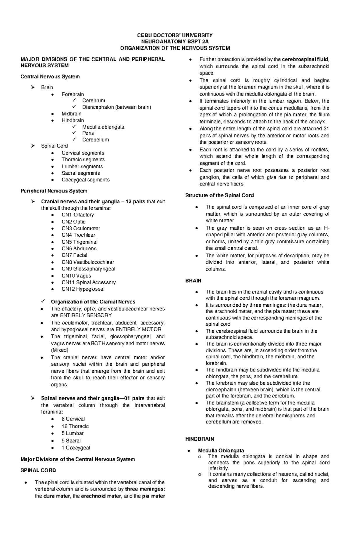 Organization of Nervous System- Neuroanatomy Class - CEBU DOCTORS ...