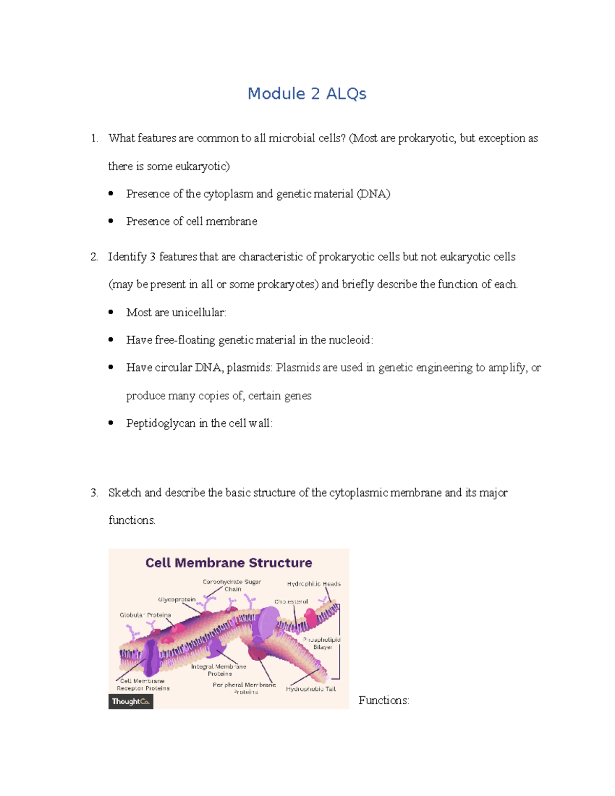 Module 2 ALQs - ALQs - Module 2 ALQs What features are common to all ...