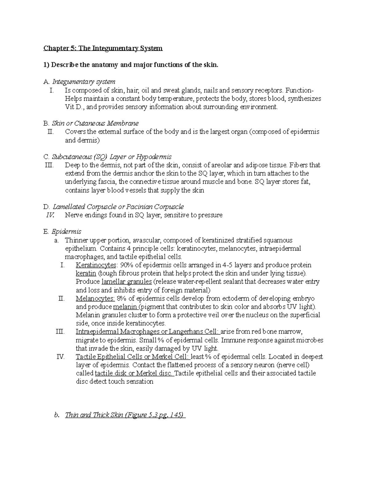 Chapter 5 - Lecture notes Chpt 5 - Chapter 5: The Integumentary System ...