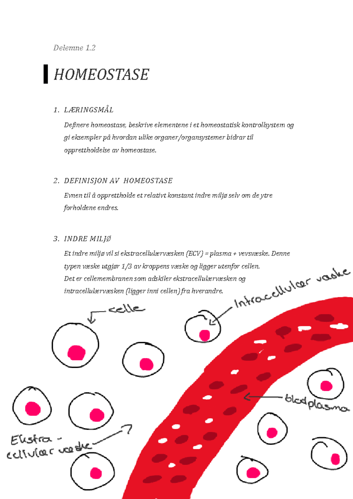 Homeostase - Delemne 1. HOMEOSTASE 1. LÆRINGSMÅL Definere homeostase ...