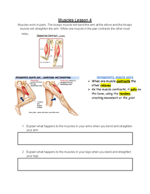 Muscles Lesson 1 - Intro into science - Muscles Lesson 1 Think about ...
