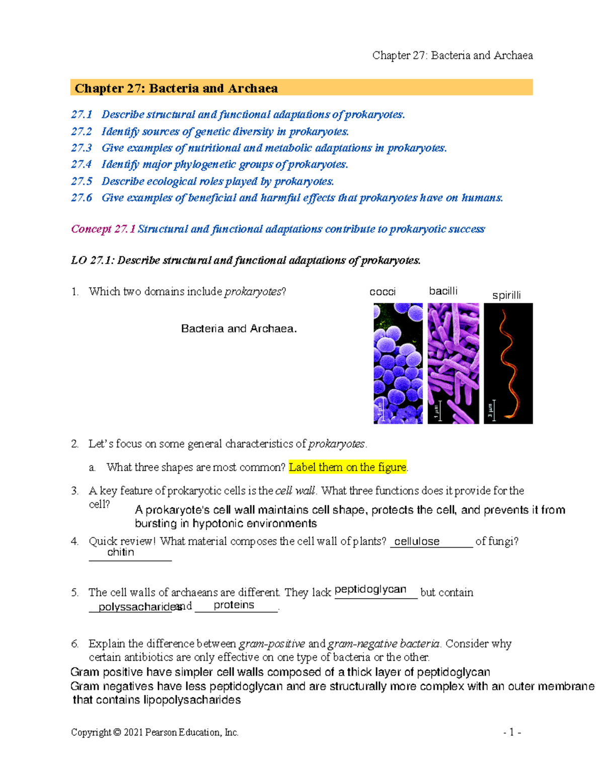 Annotated-C27-RGA-1.docx - Chapter 27: Bacteria and Archaea 27 Describe ...