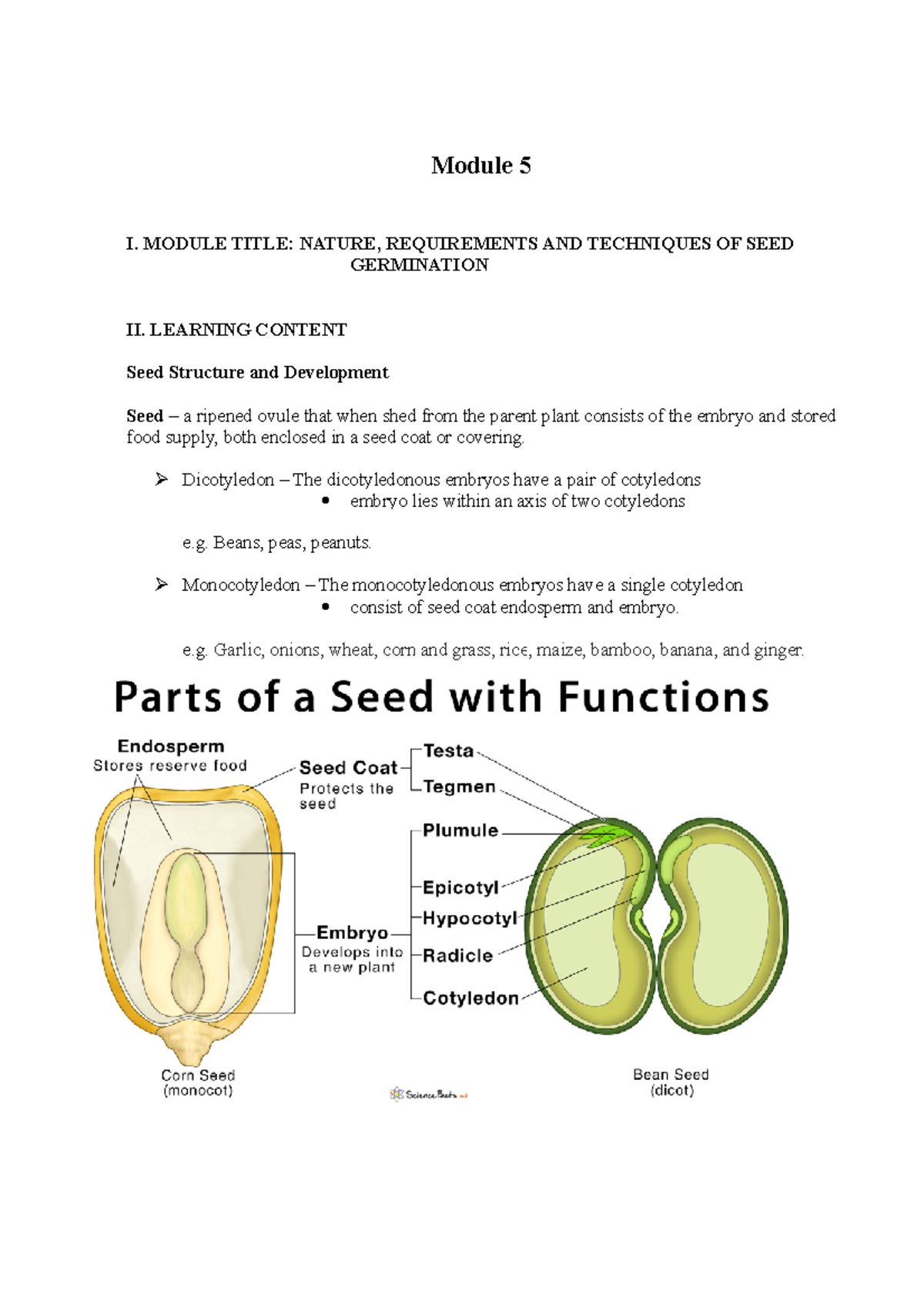 Seed Structure and Development - Module 5 I. MODULE TITLE: NATURE ...