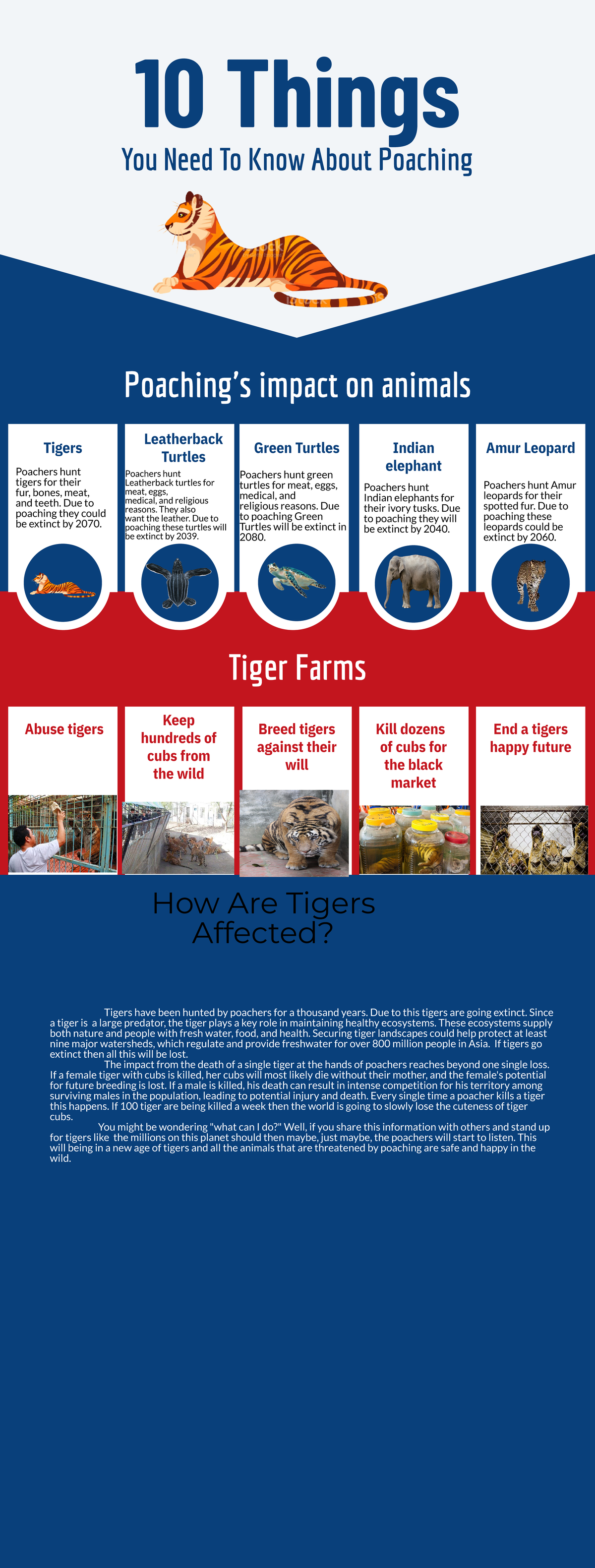 Poaching-infogr 57202233 - 10 Things You Need To Know About Poaching ...