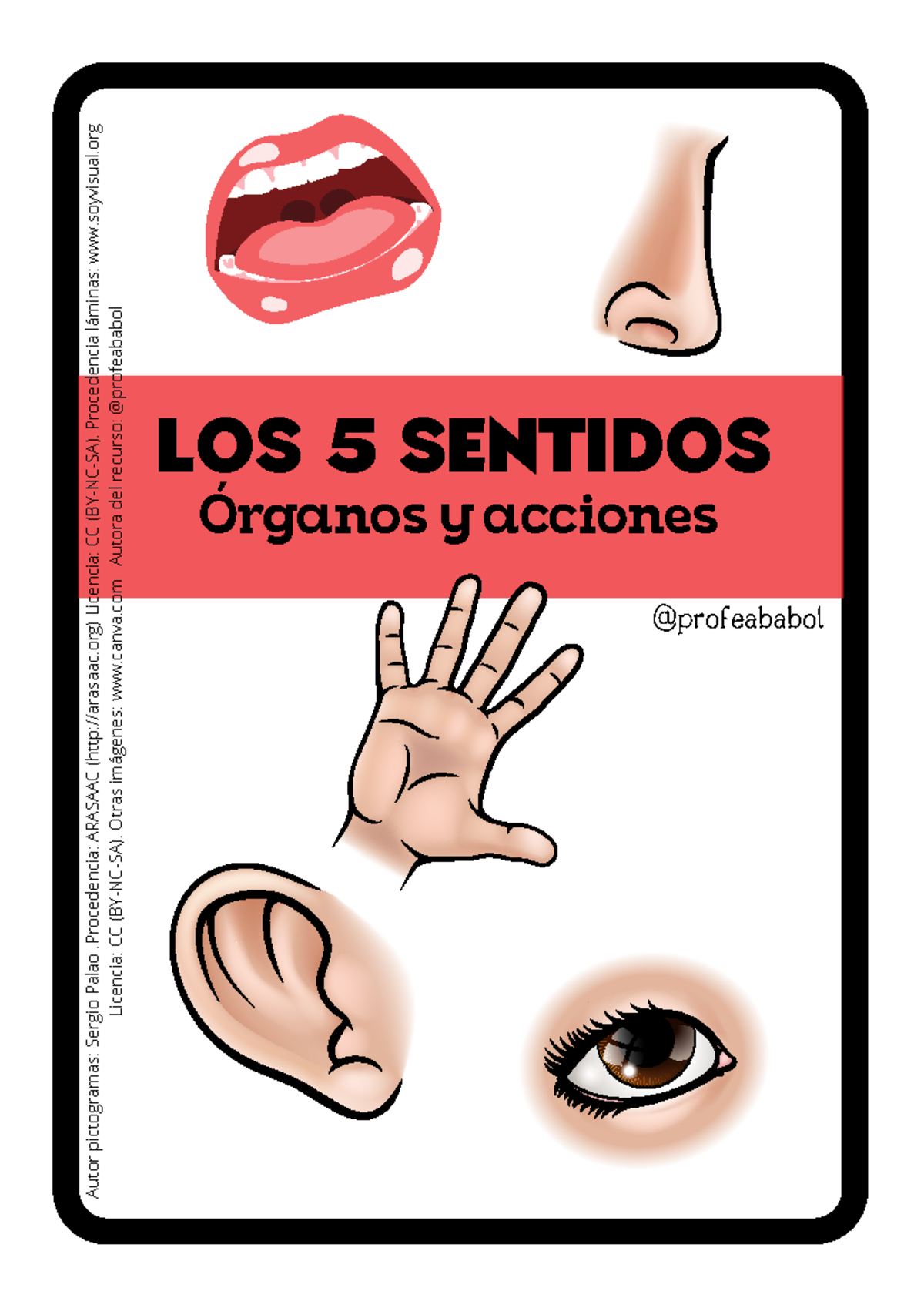 Cuaderno Teacch Los 5 sentidos - LOS 5 SENTIDOS Órganos y acciones ...