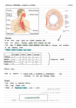 Unit 2 Assignment B - applied science btec Pearsons - EVERYTHING YOU ...