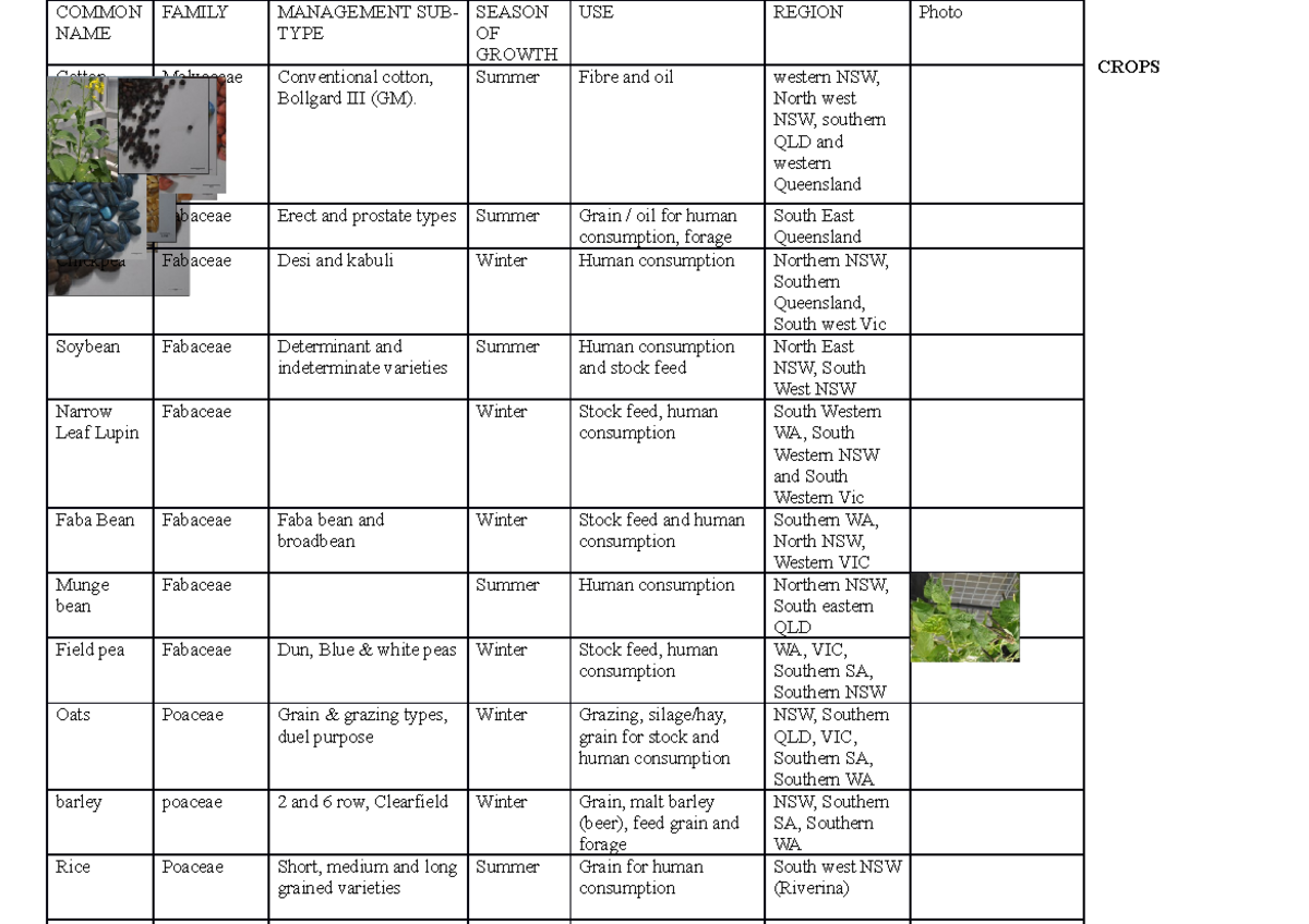 Prac Plant name notes - CROPS COMMON NAME FAMILY MANAGEMENT SUB- TYPE ...