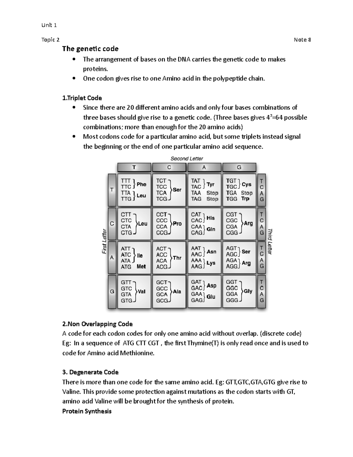Protein synthesis - Alevel biology notes - Topic 2 Note 8 The genetic ...