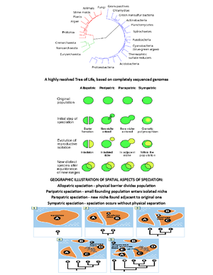 BIOE 3102 S22 Lab 2 Cell Culture Day 2 - Biomaterials Lab 2: Cell ...