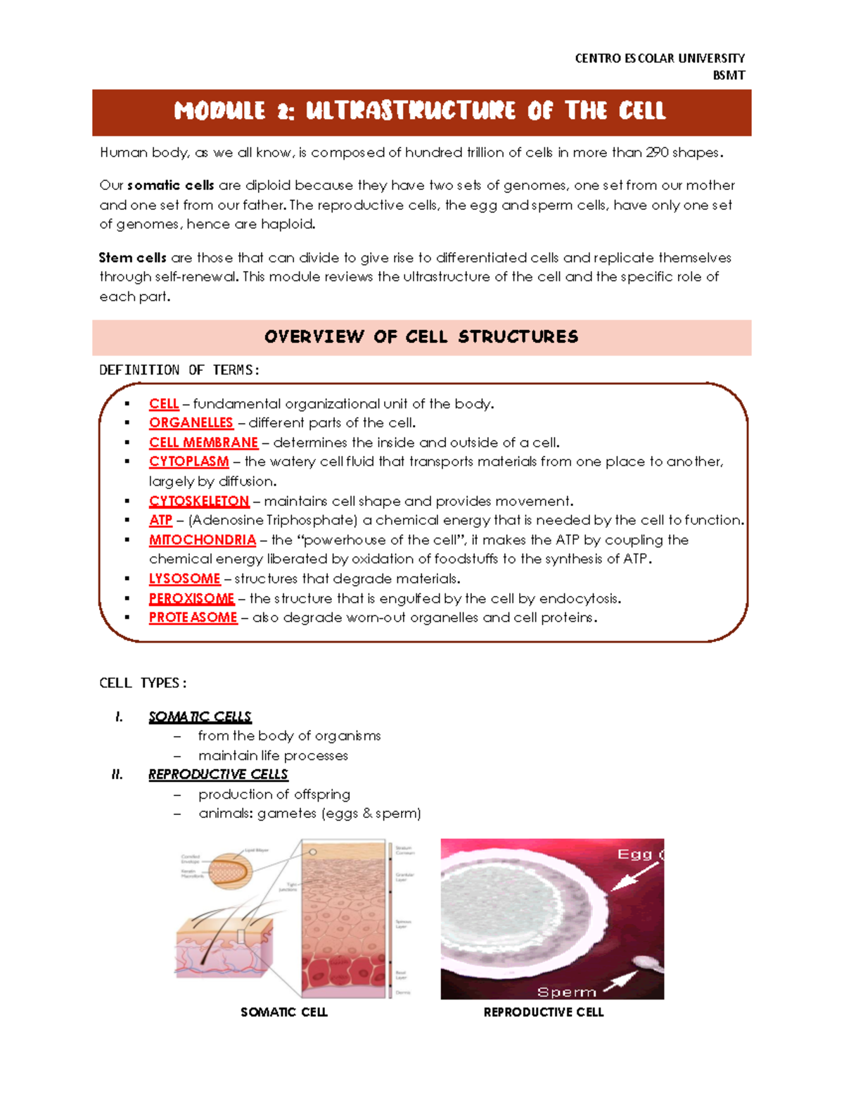 Module 2 ( Ultrastructure OF THE CELL) - BSMT MODULE 2 : ULTRASTRUCTURE ...