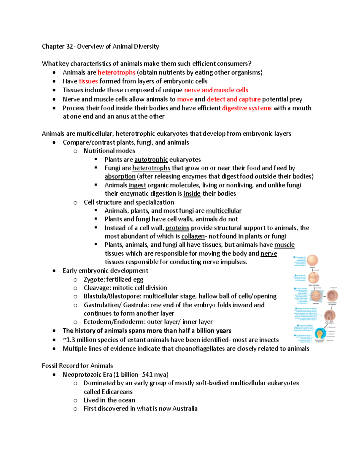 Bio chapter 32- Overview of Animal Diversity - Chapter 32- Overview of ...