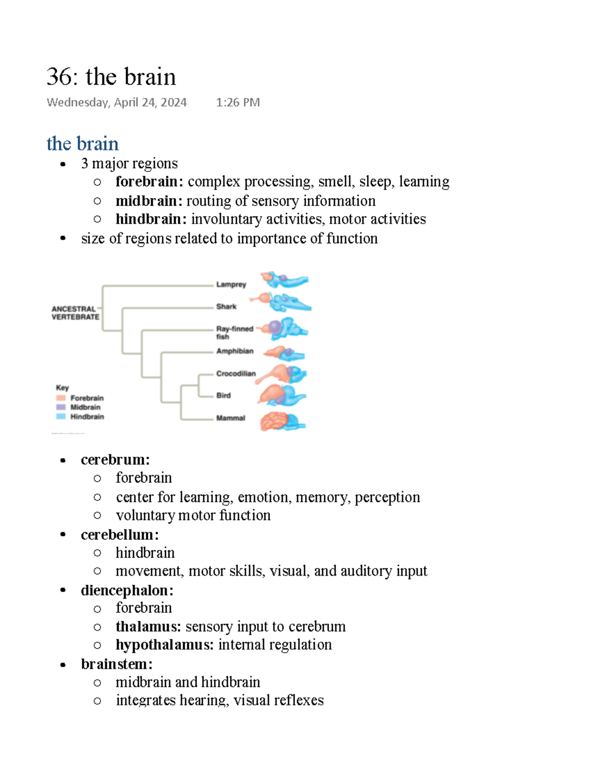 UVA BIOL 2200 Lesson 36 - The Brain - the brain 3 major regions ...