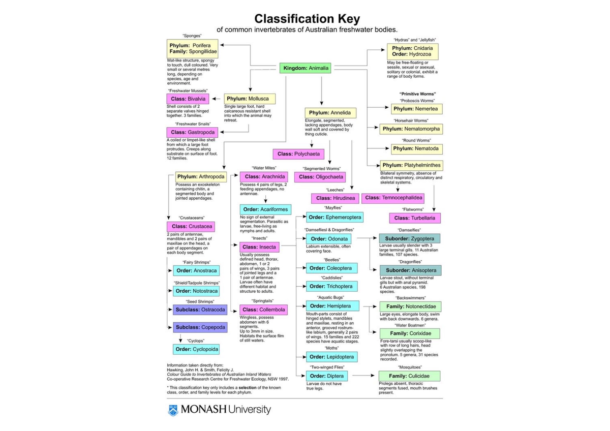 Learning with chemistry - CH 101 - Studocu