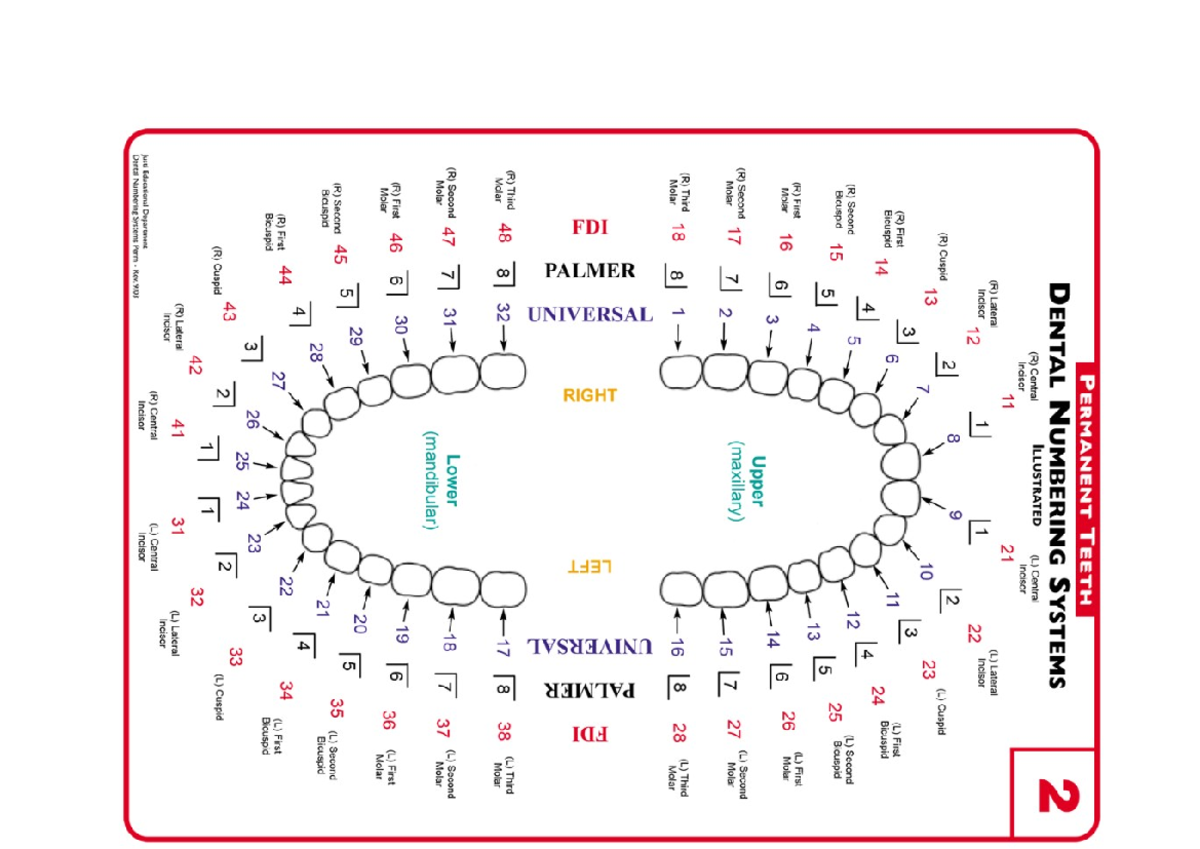 Tooth Numbering - PERMANENT TEETH DENTAL NUMBERING SYSTEMS 2 ...