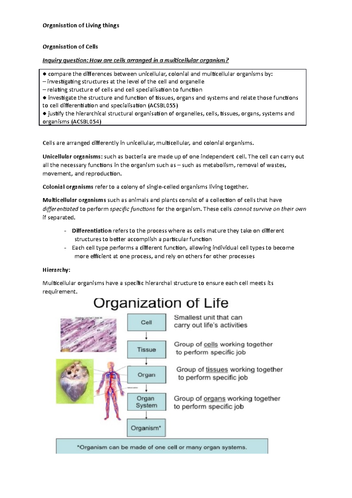 11 bio org of living things syl - Organisation of Cells Inquiry ...