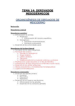TEMA 13: DERIVADOS ECTODÉRMICOS - TEMA 13: DERIVADOS DE DERIVADOS DE ...