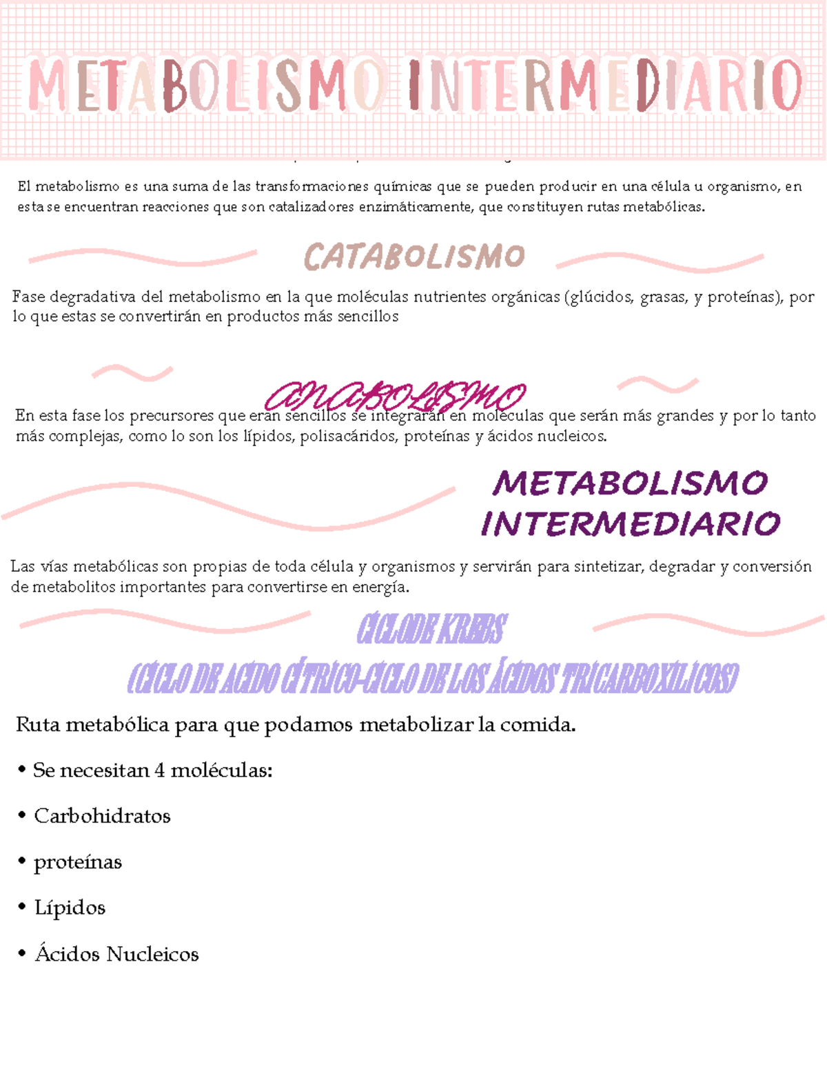 Metabolismo Intermediario Resumen - Ruta metabÛlica para que podamos metabolizar la comida. Se ...