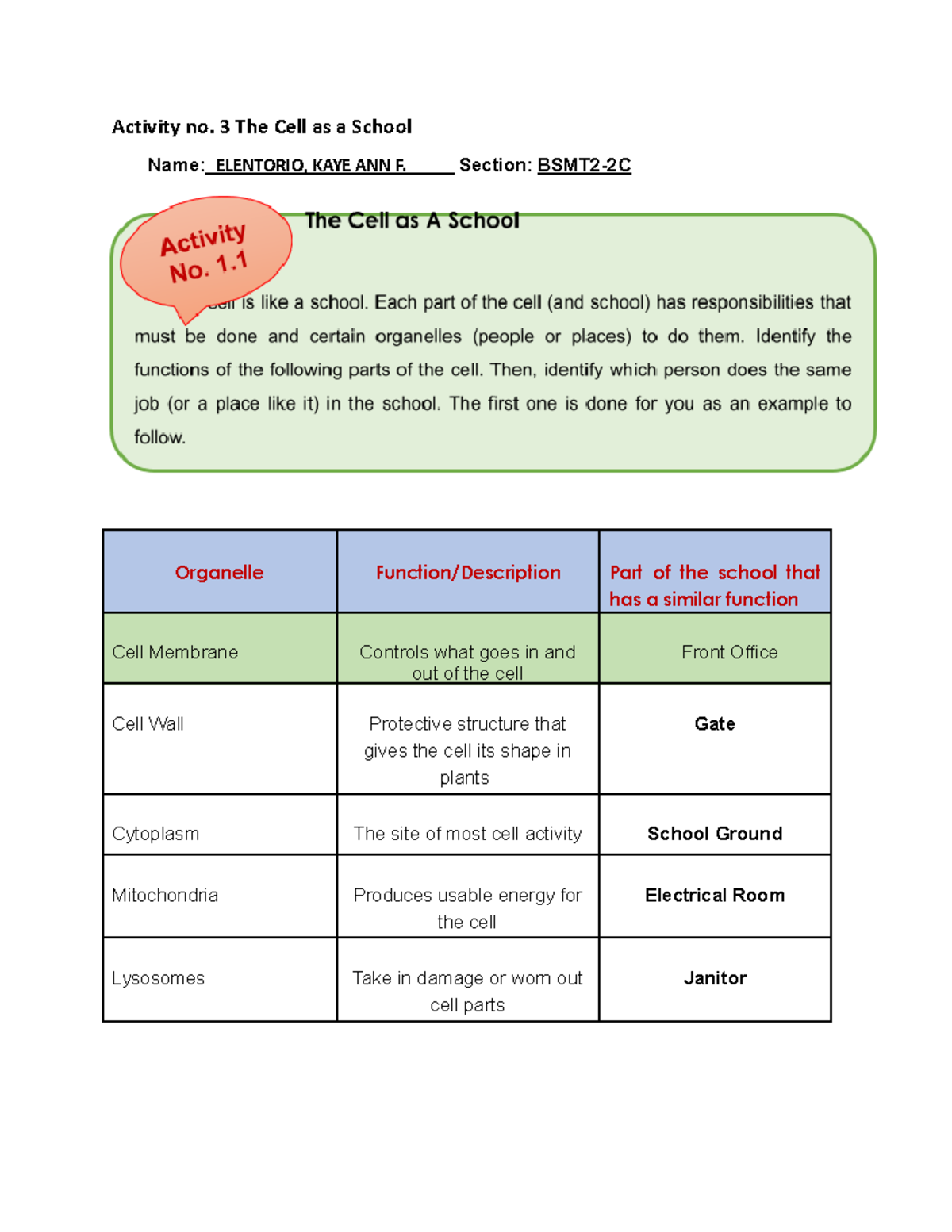 Activity no. 3 The Cell as a School - Activity no. 3 The Cell as a ...