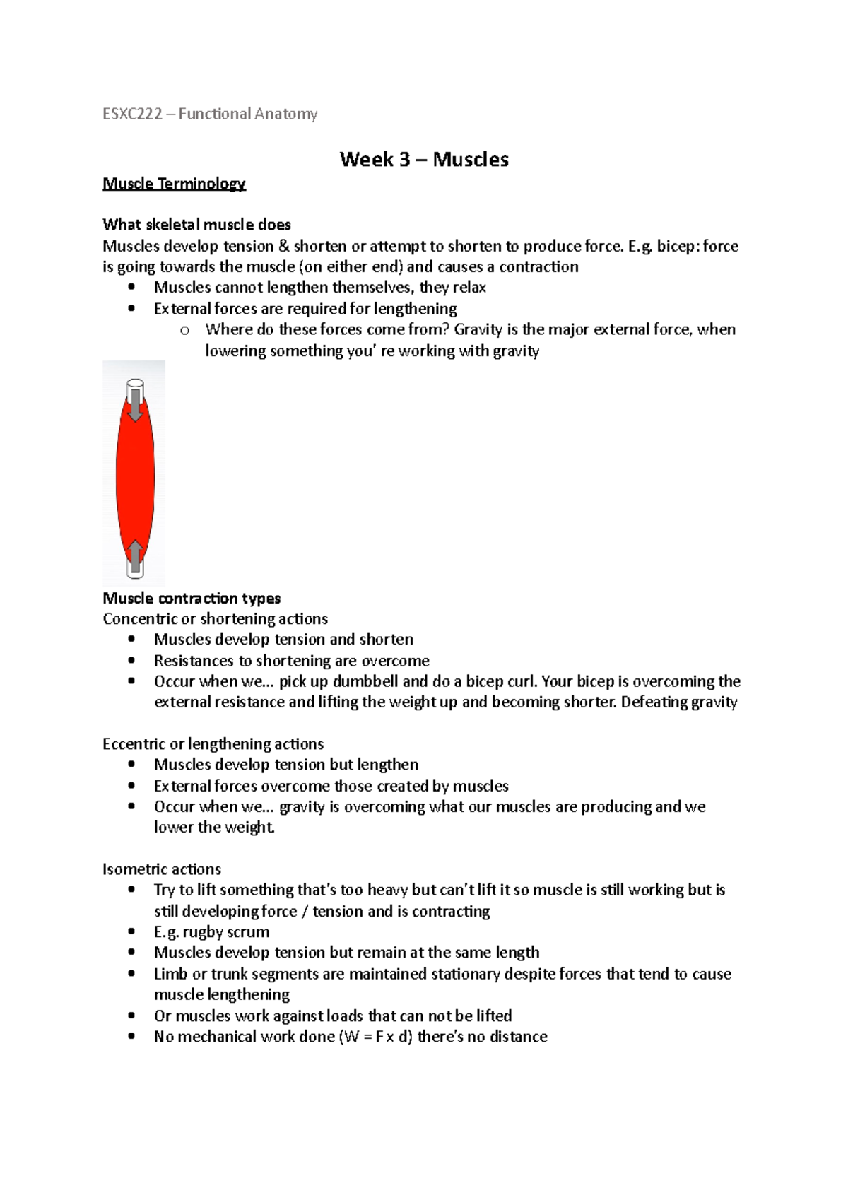 Week 3 Lecture Notes 3 Esxc222 Functional Anatomy Week 3 Muscles Muscle Terminology What