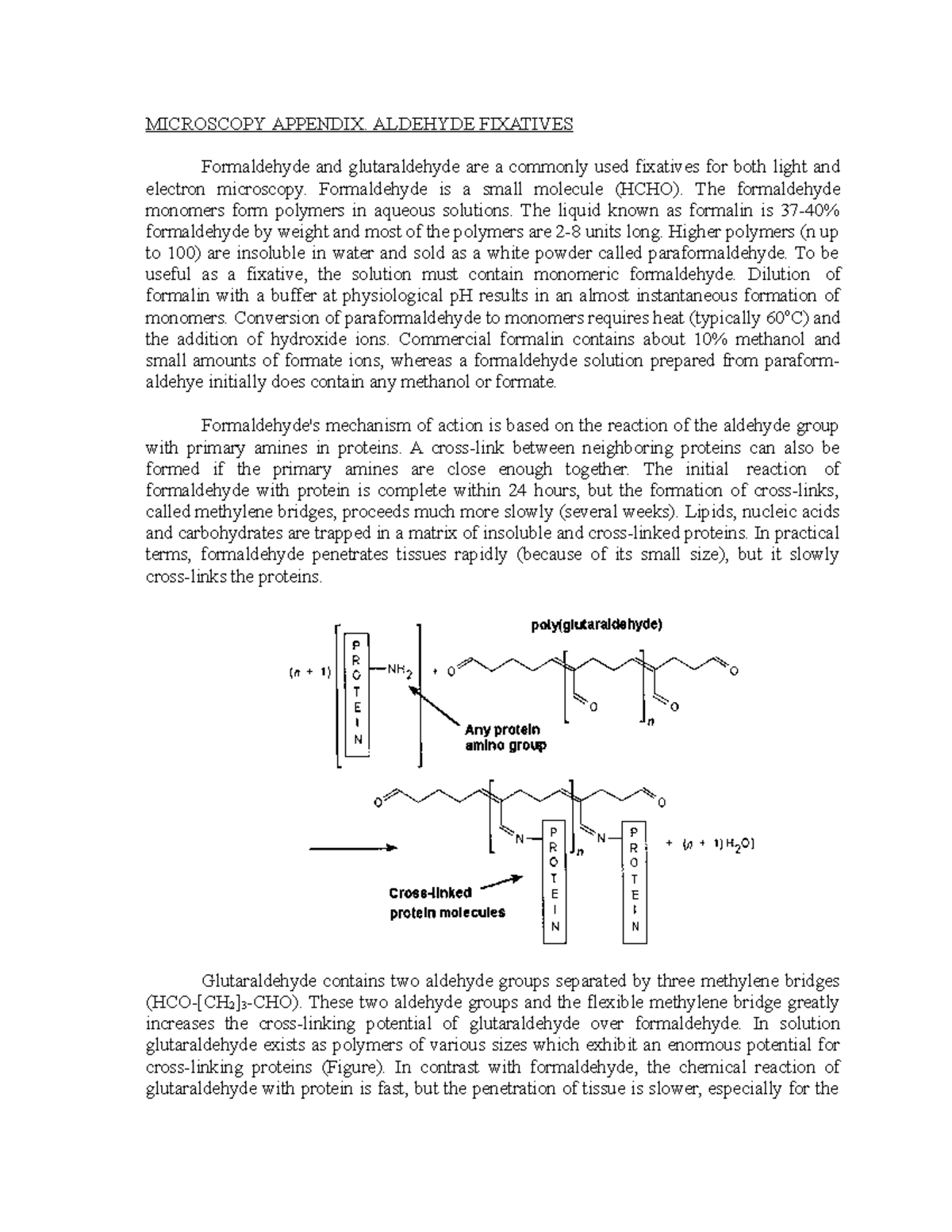 Microscopy Appendix Formaldehyde And Glutaraldehyde Are A Commonly