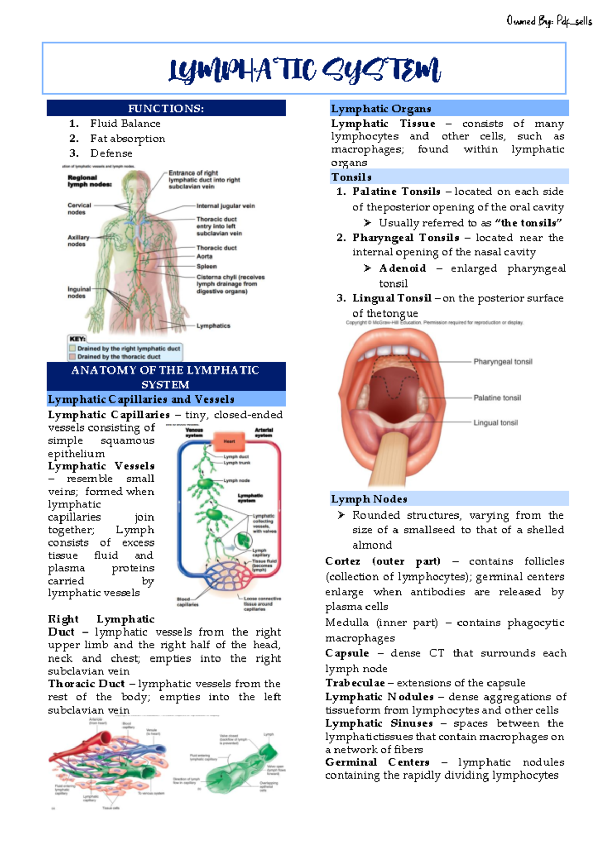 Lymphatic System - hope this helps - FUNCTIONS: Fluid Balance Fat ...