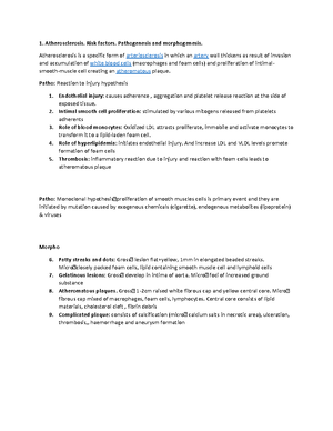 Pathoanatomy 80 - Grade: 5 - 80. tumours of testis and epididymis ...