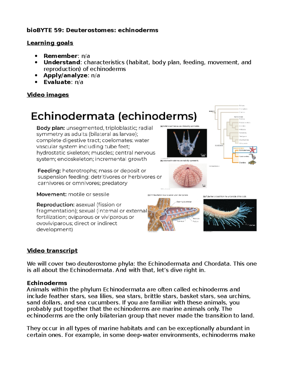 1802.Notes guide.bio BYTE 59 - bioBYTE 59: Deuterostomes: echinoderms ...