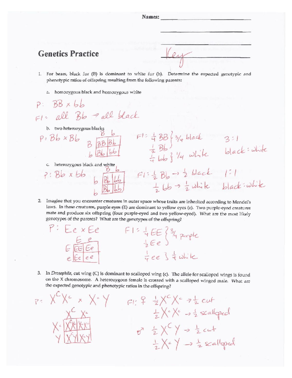 Genetics Problems key F22 - b. Assign symbols for the alleles that ...