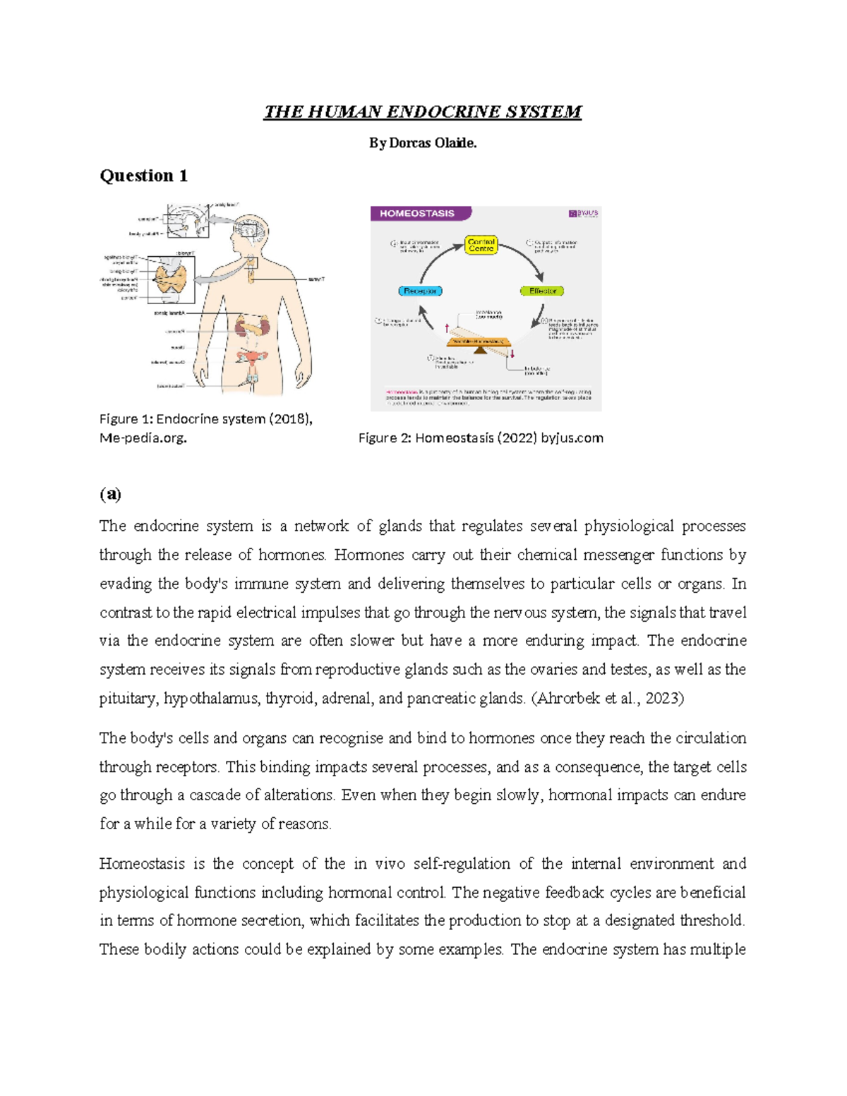 Unit 10 Human endocrine by Dorcas - THE HUMAN ENDOCRINE SYSTEM By ...