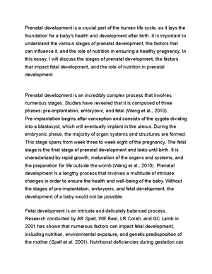 Stages of Human Development - The human life cycle is an ongoing ...