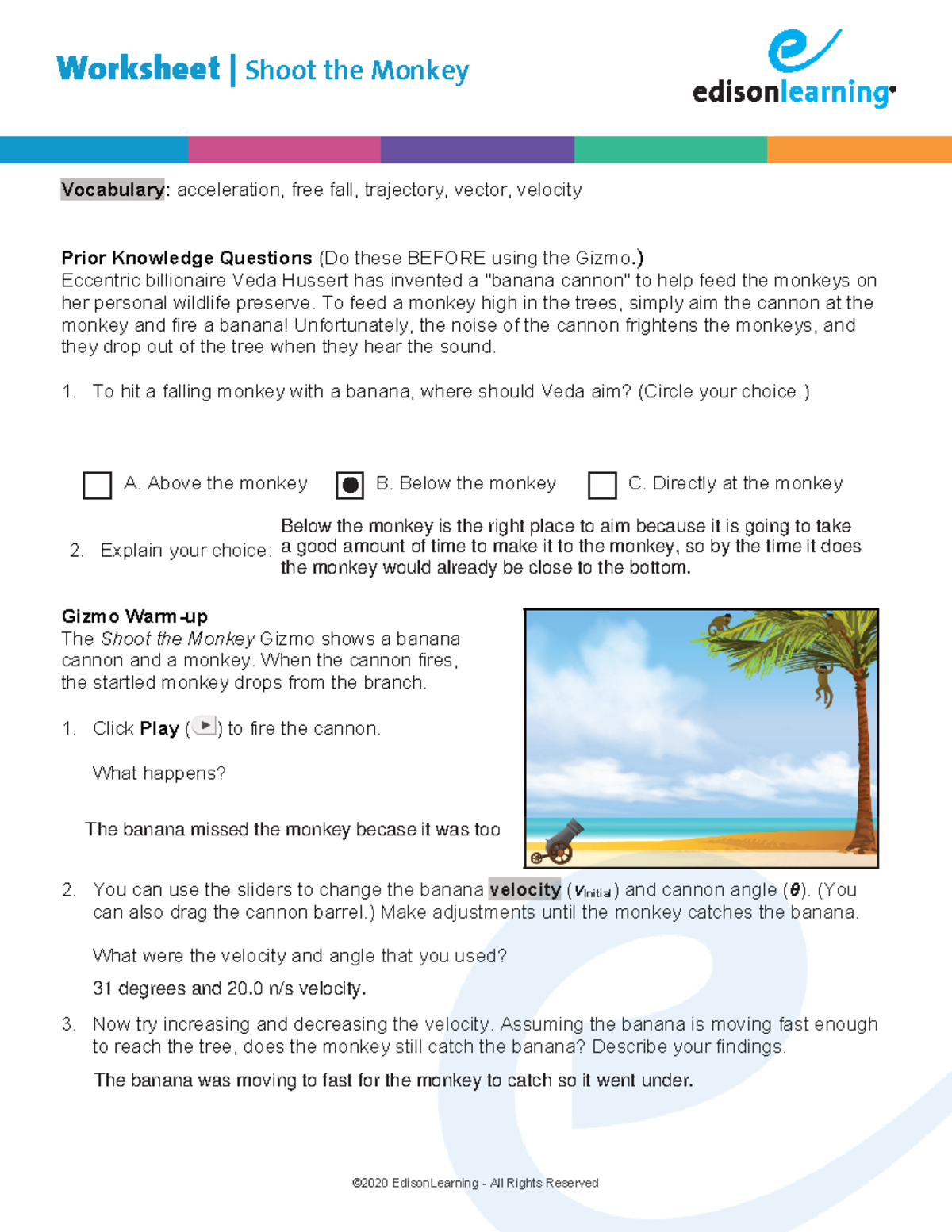 Science Monkey worksheet - Vocabulary: acceleration, free fall ...
