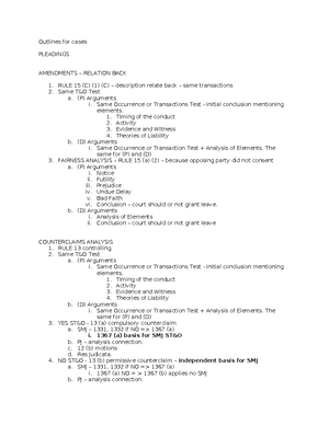 RM Outline CIV PRO I - notes of class, and principal issue solving ...