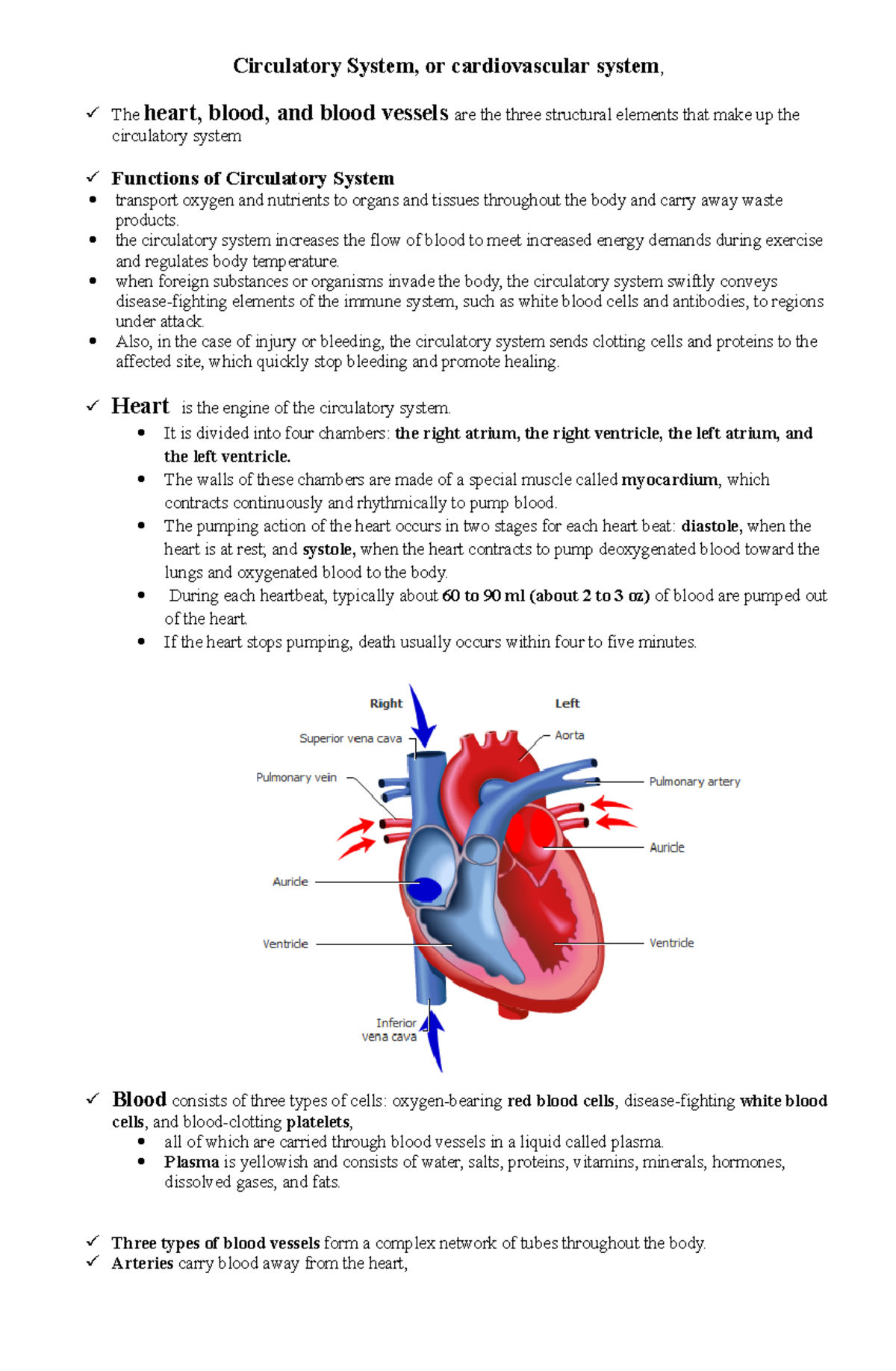 Circulatory-system Anatomy - Circulatory System, or cardiovascular ...