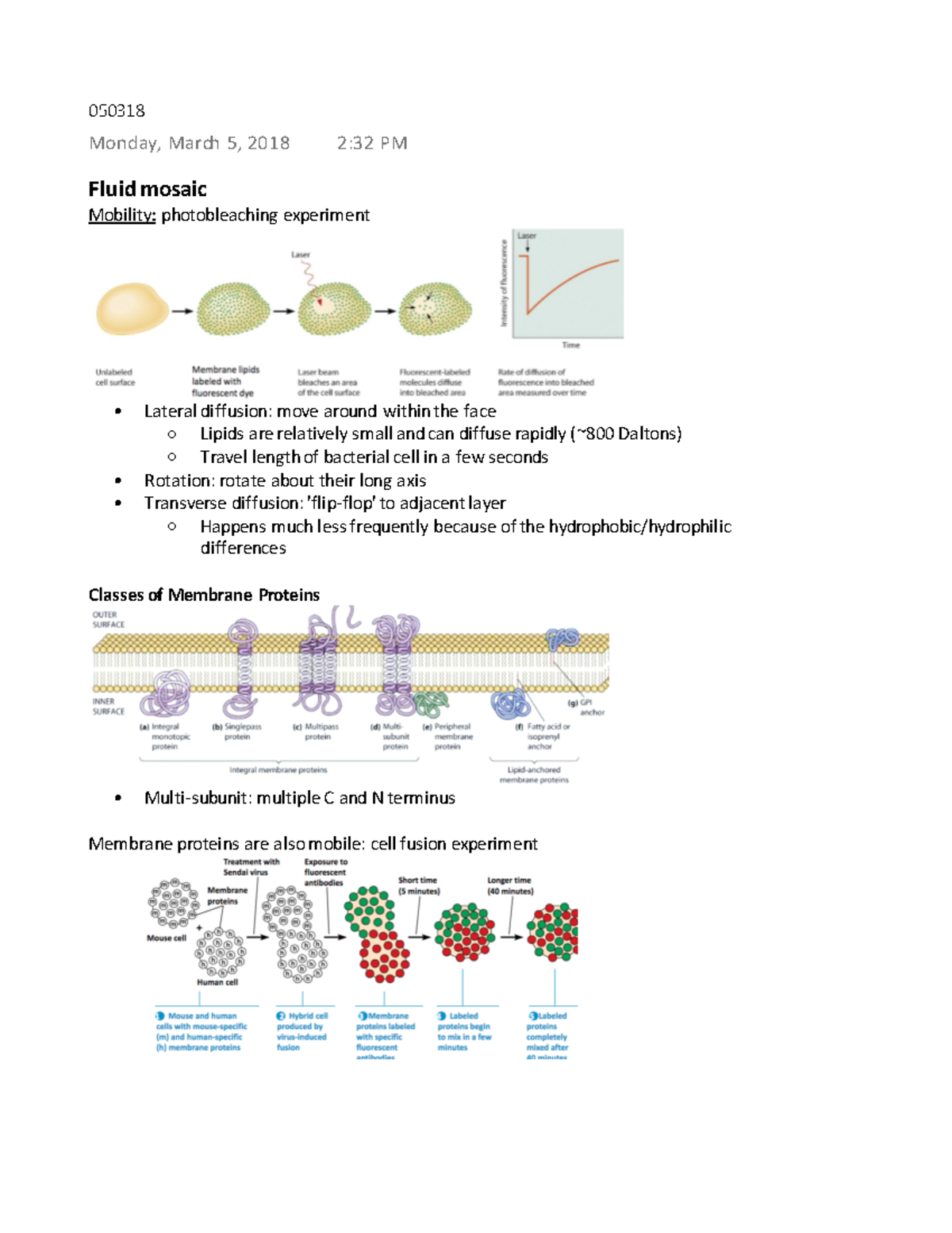 Fluid Mosaic Notes - Fluid mosaic Mobility: photobleaching experiment ...