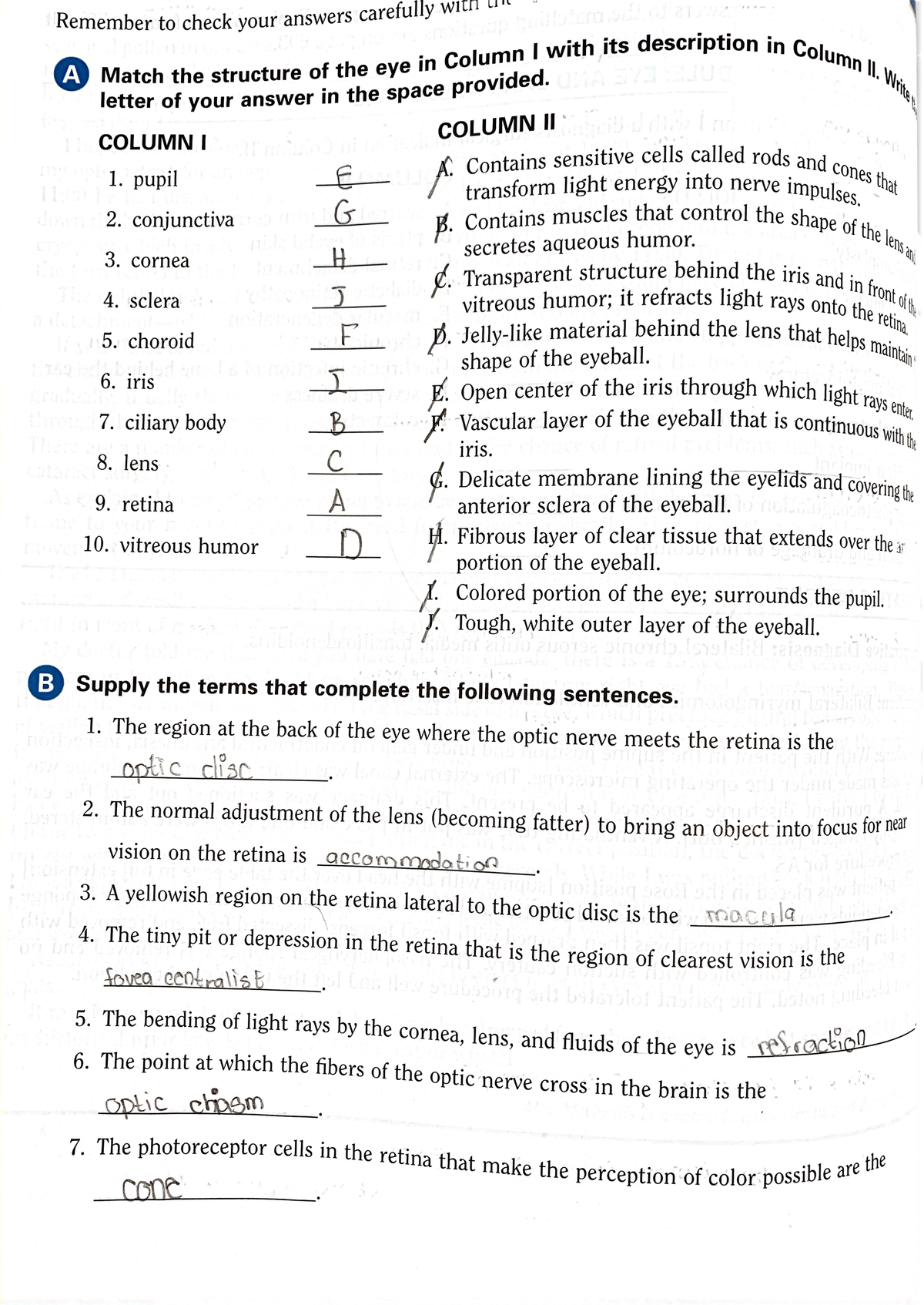 Chapter 17 - Remember to check your answers carefully A Match the ...