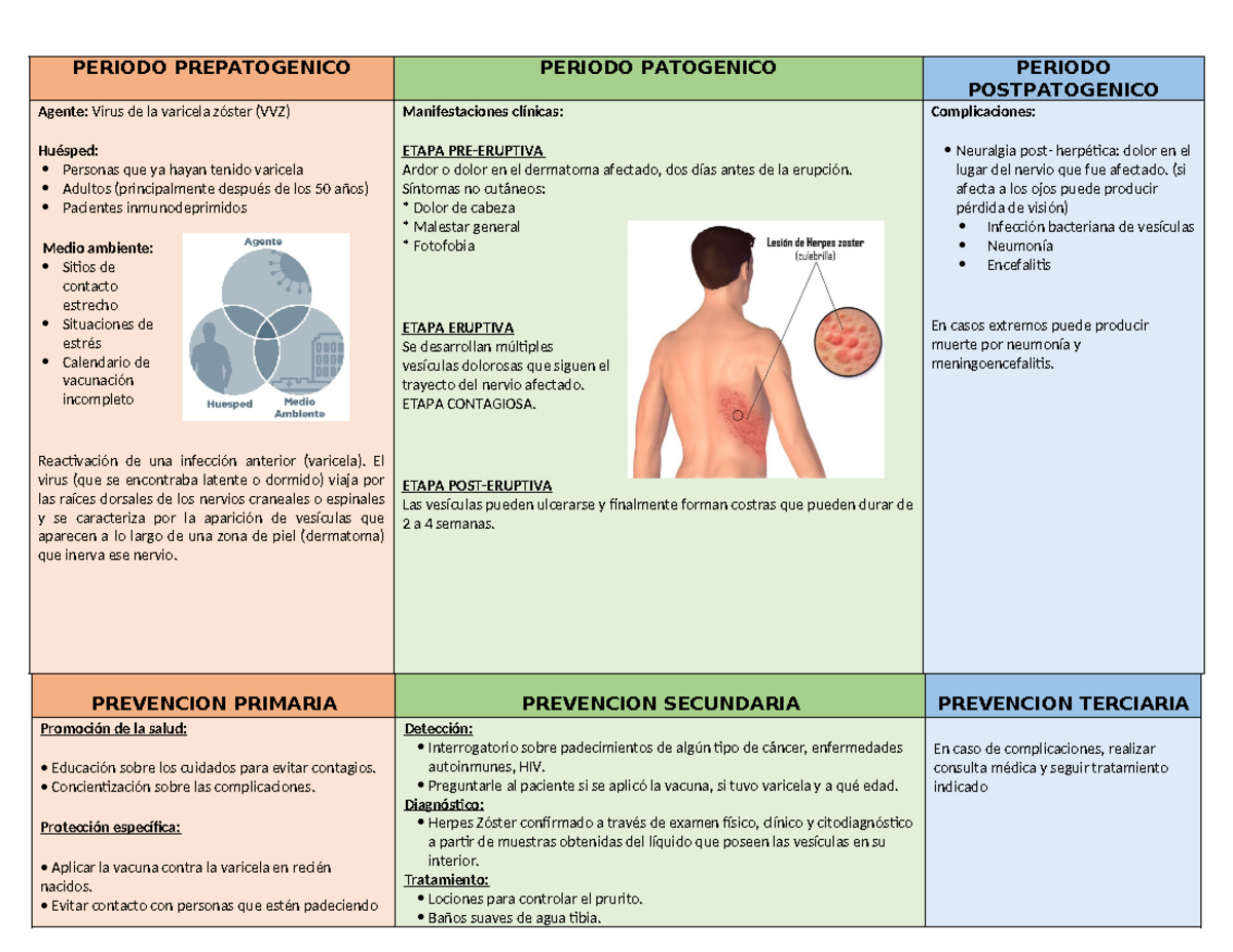Cuadro HERPES ZOSTER - PERIODO PREPATOGENICO PERIODO PATOGENICO PERIODO ...
