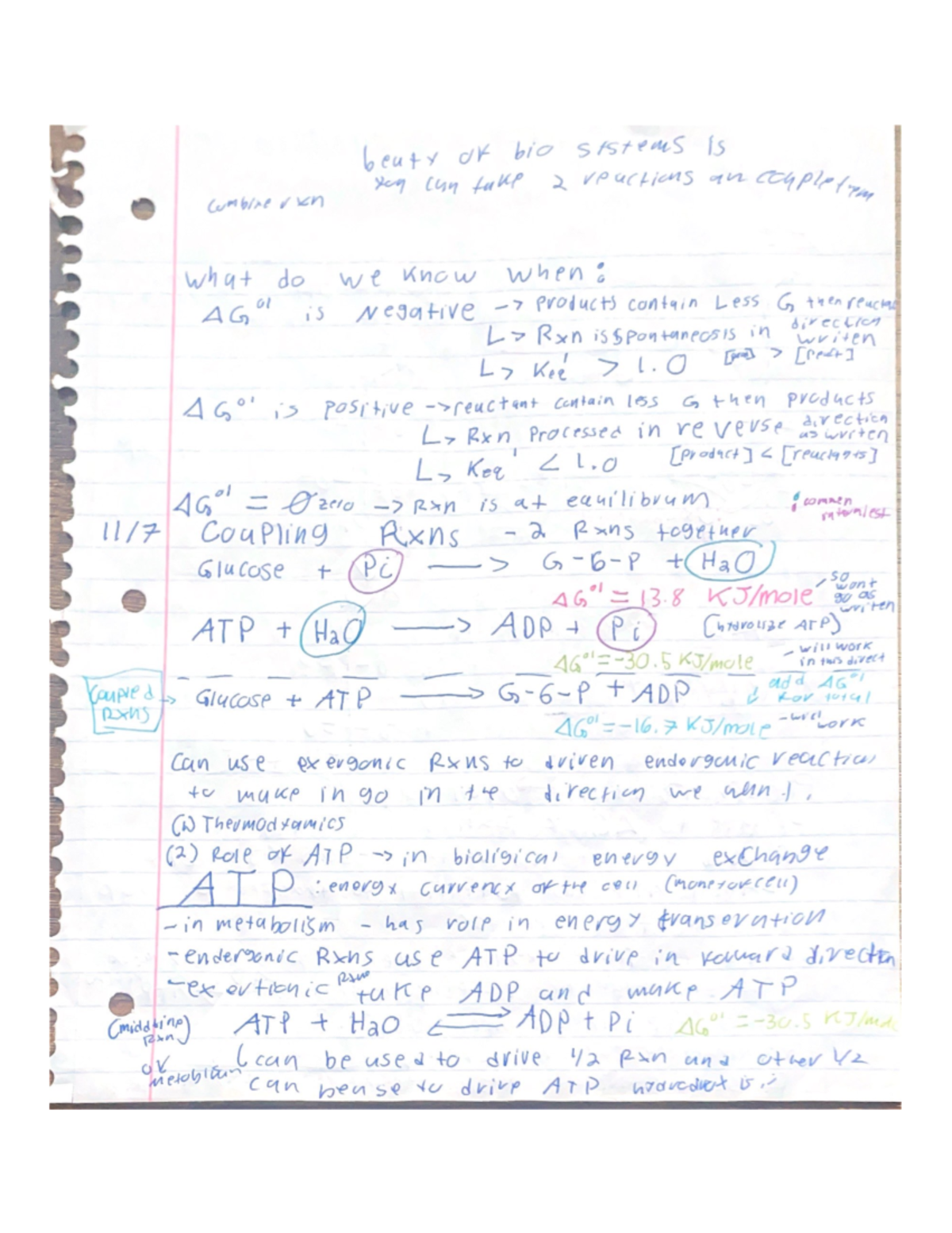 Biochemistry notes pages 54-72 - BIO 4010 - Studocu