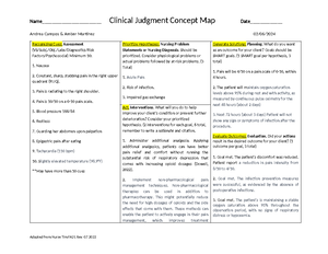FSNM- Mr Olson - Full-Spectrum Nursing Model: Mr. Olson Ineka Barron ...