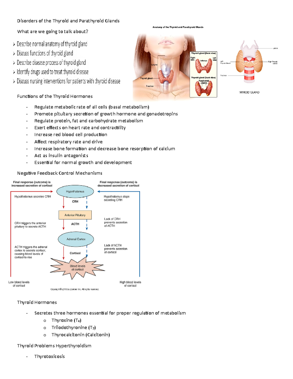 Exam 5 Hyperthyroidism Medsurg - Disorders of the Thyroid and ...
