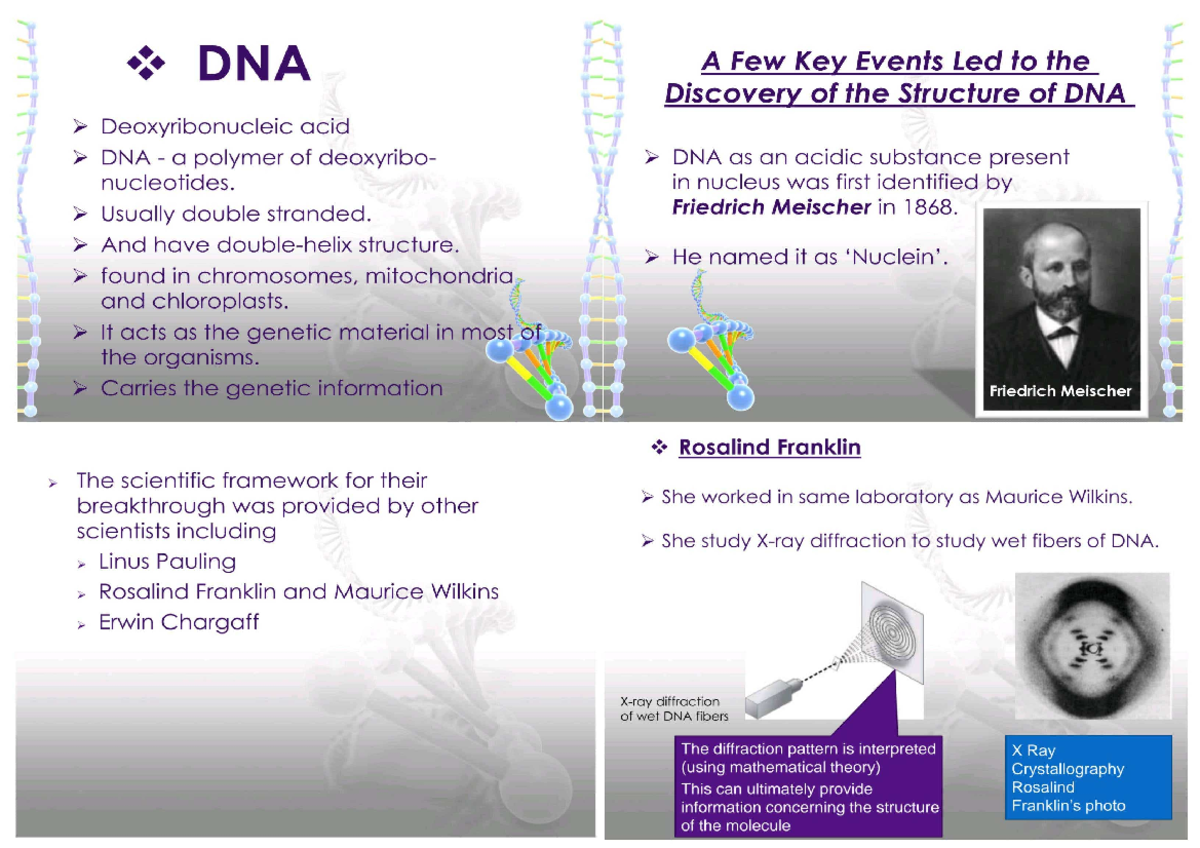 DNA & RNA - Rna and Dna notes - Cloud Computing - Studocu