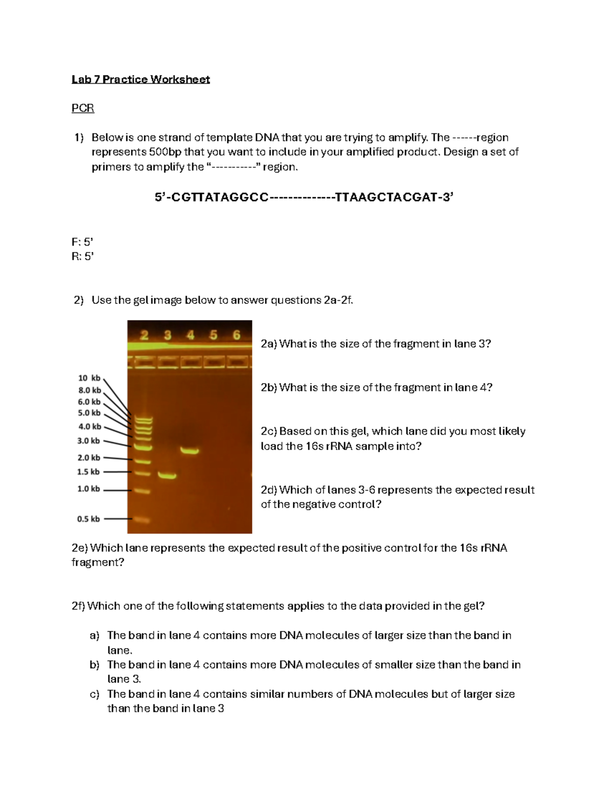 Lab 7 Practice Worksheet - Lab 7 Practice Worksheet PCR 1) Below is one ...