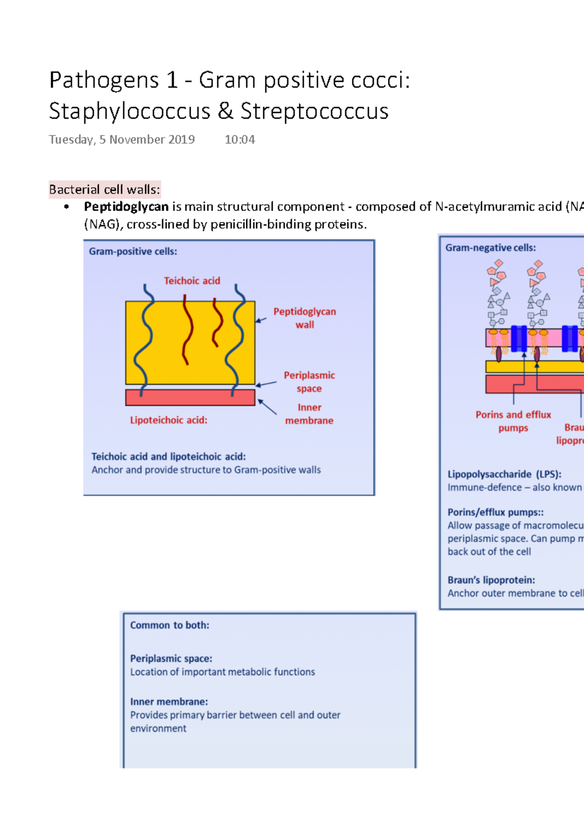 Pathogens 1 - Gram positive cocci Staphylococcus & Streptococcus ...