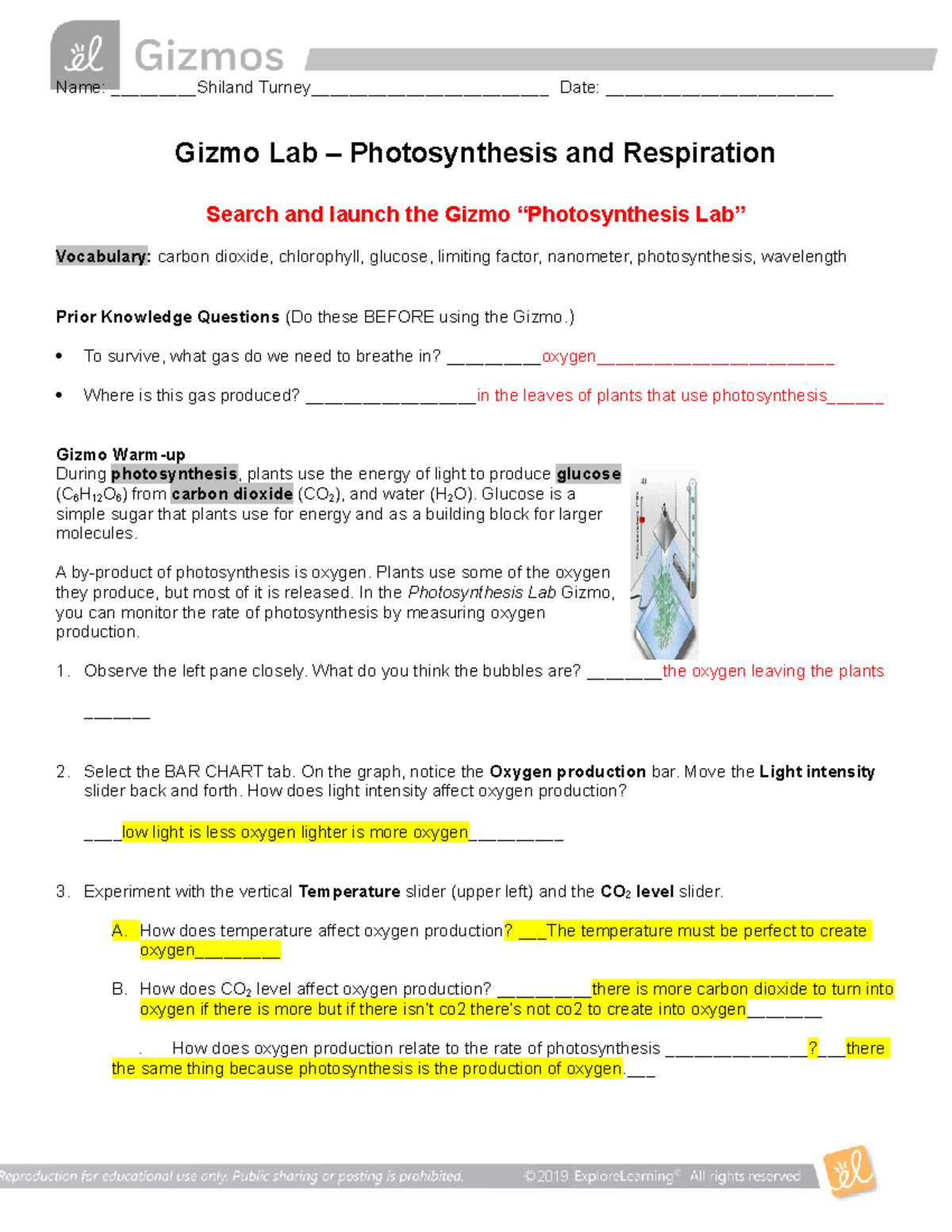 Gizmo Lab Photosynthesis And Respiration Name Shiland Turney
